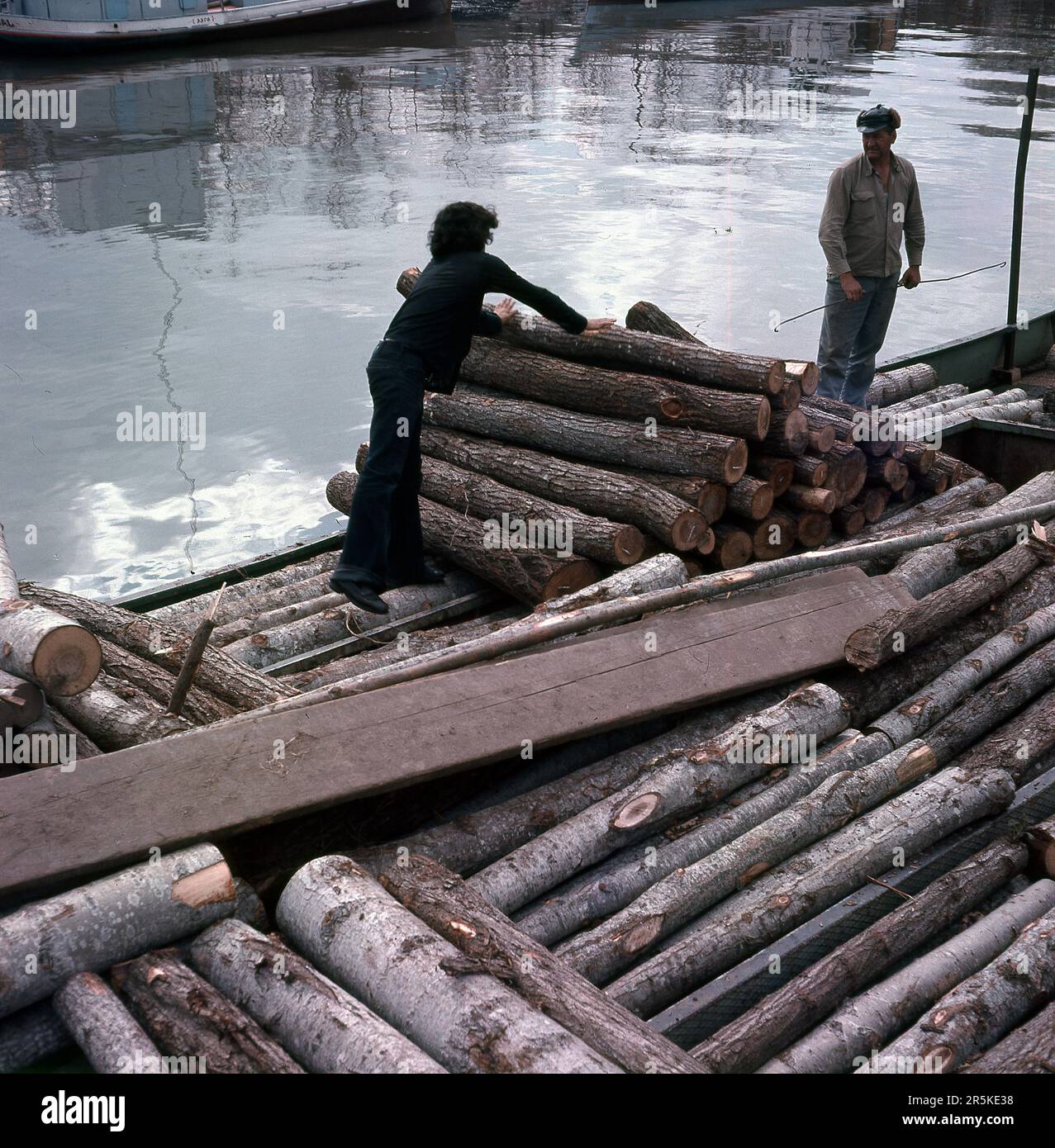 Lumber trade, wood industry, Tigre port, Buenos Aires province ...