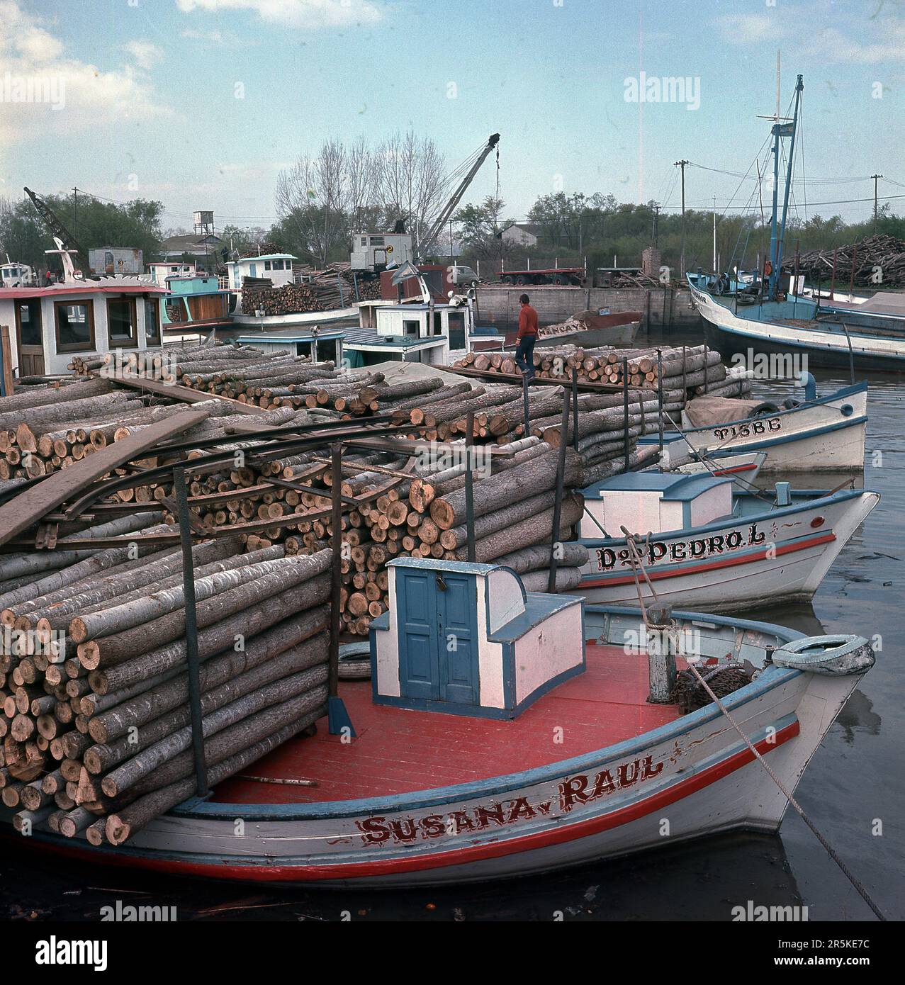 Lumber trade, wood industry, Tigre port, Buenos Aires province ...