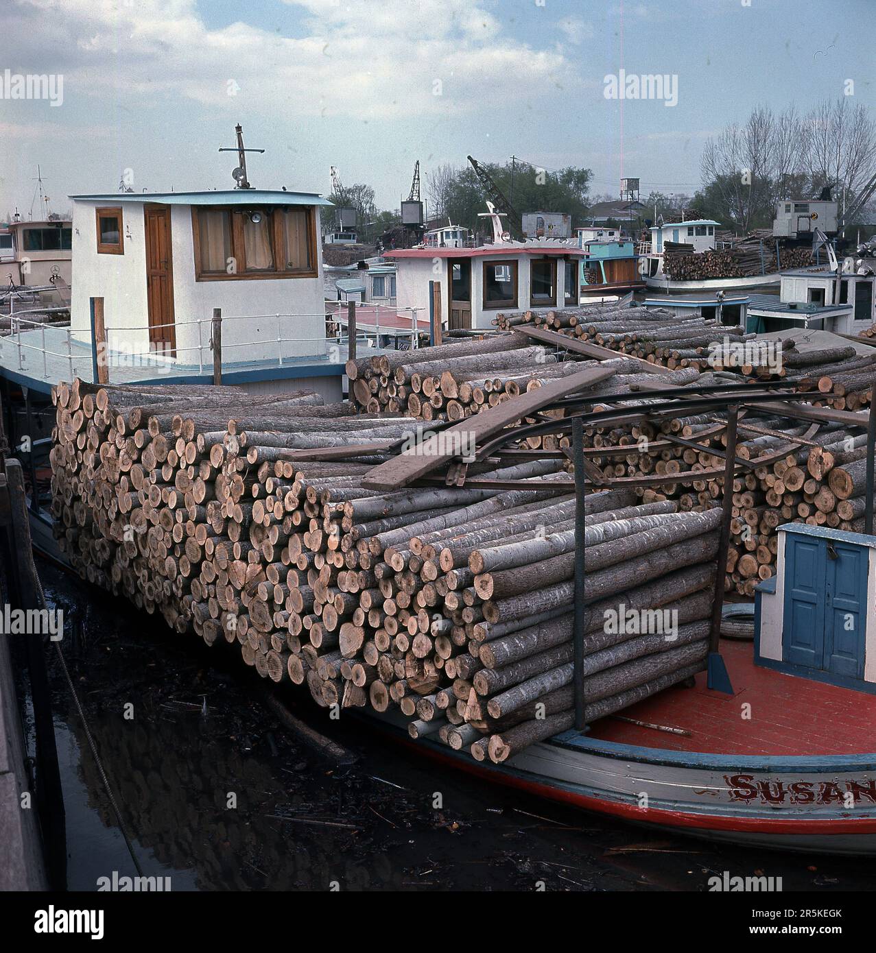 Lumber trade, wood industry, Tigre port, Buenos Aires province ...