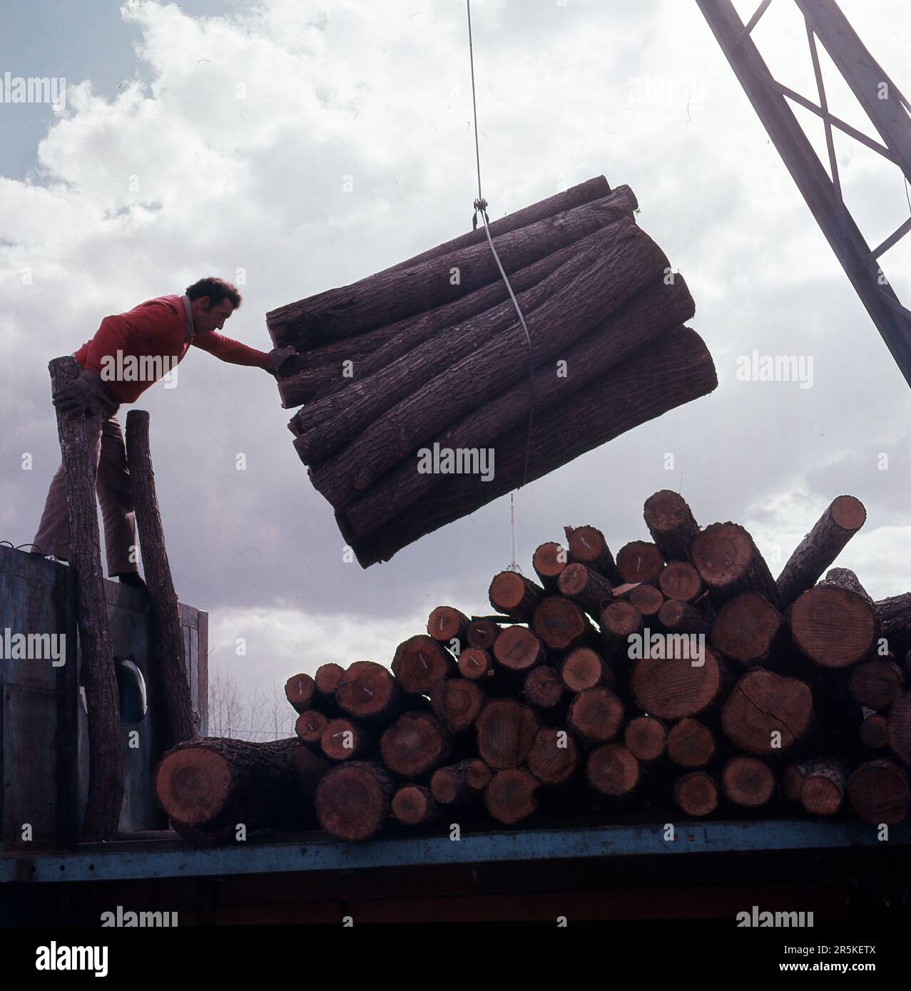 Lumber trade, wood industry, Tigre port, Buenos Aires province ...