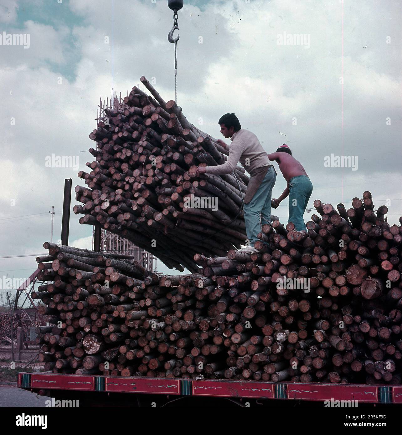 Lumber trade, wood industry, Tigre port, Buenos Aires province ...