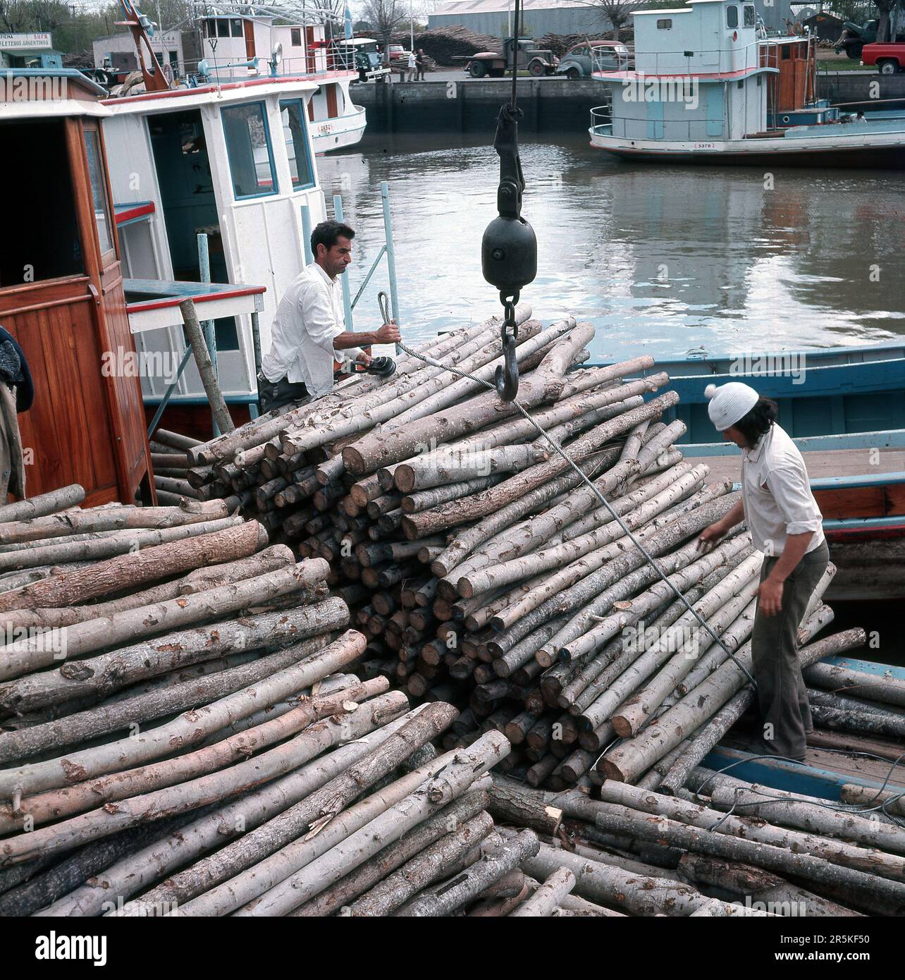 Lumber trade, wood industry, Tigre port, Buenos Aires province ...