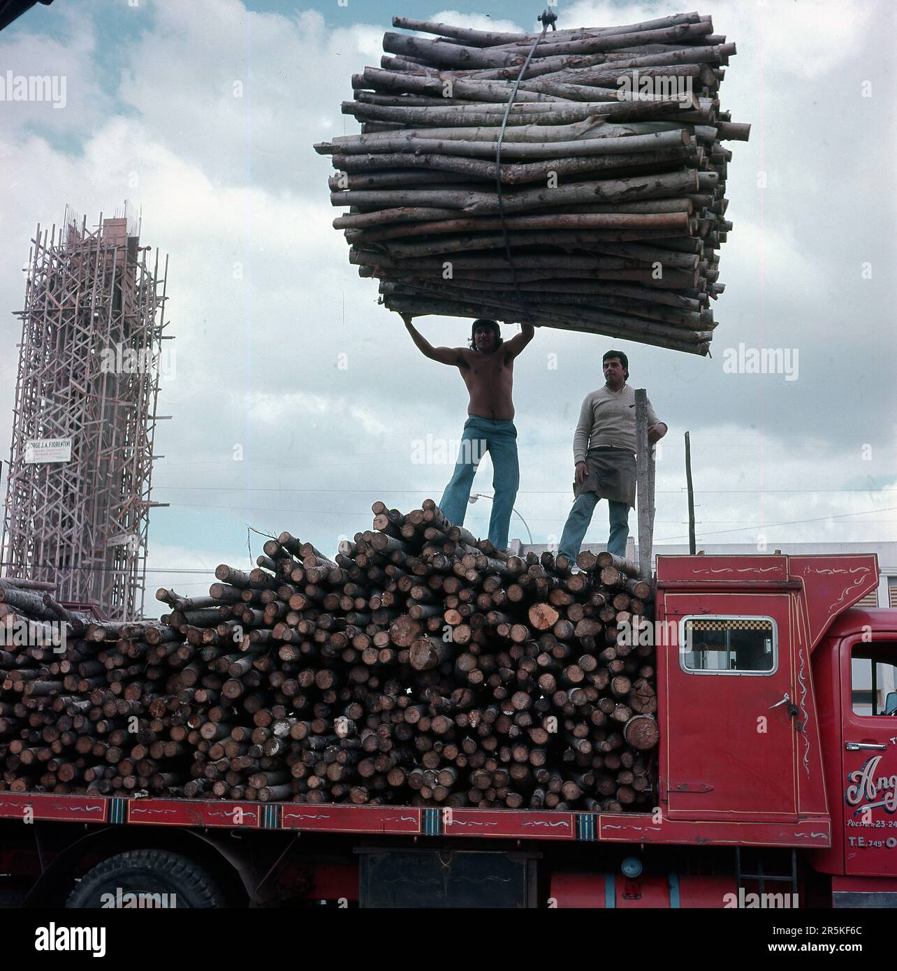 Lumber trade, wood industry, Tigre port, Buenos Aires province ...