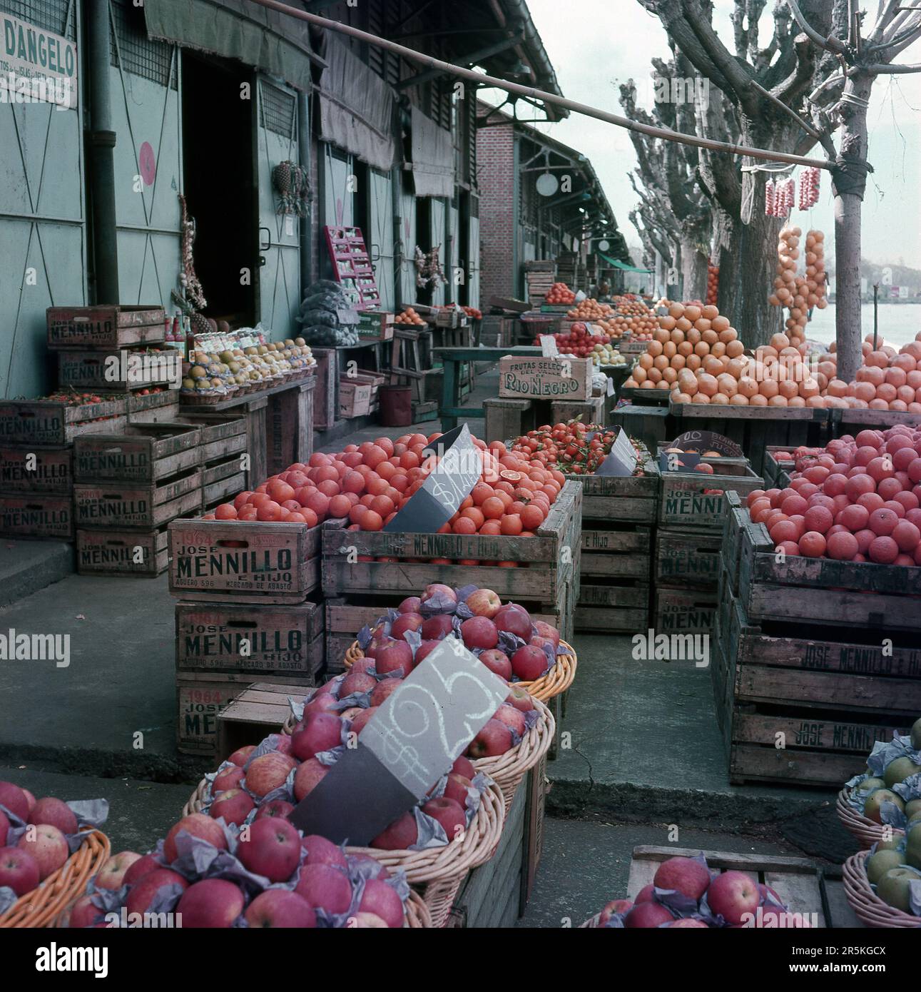 Fruit Market, Mercado de Frutos, Tigre port, Buenos Aires province ...