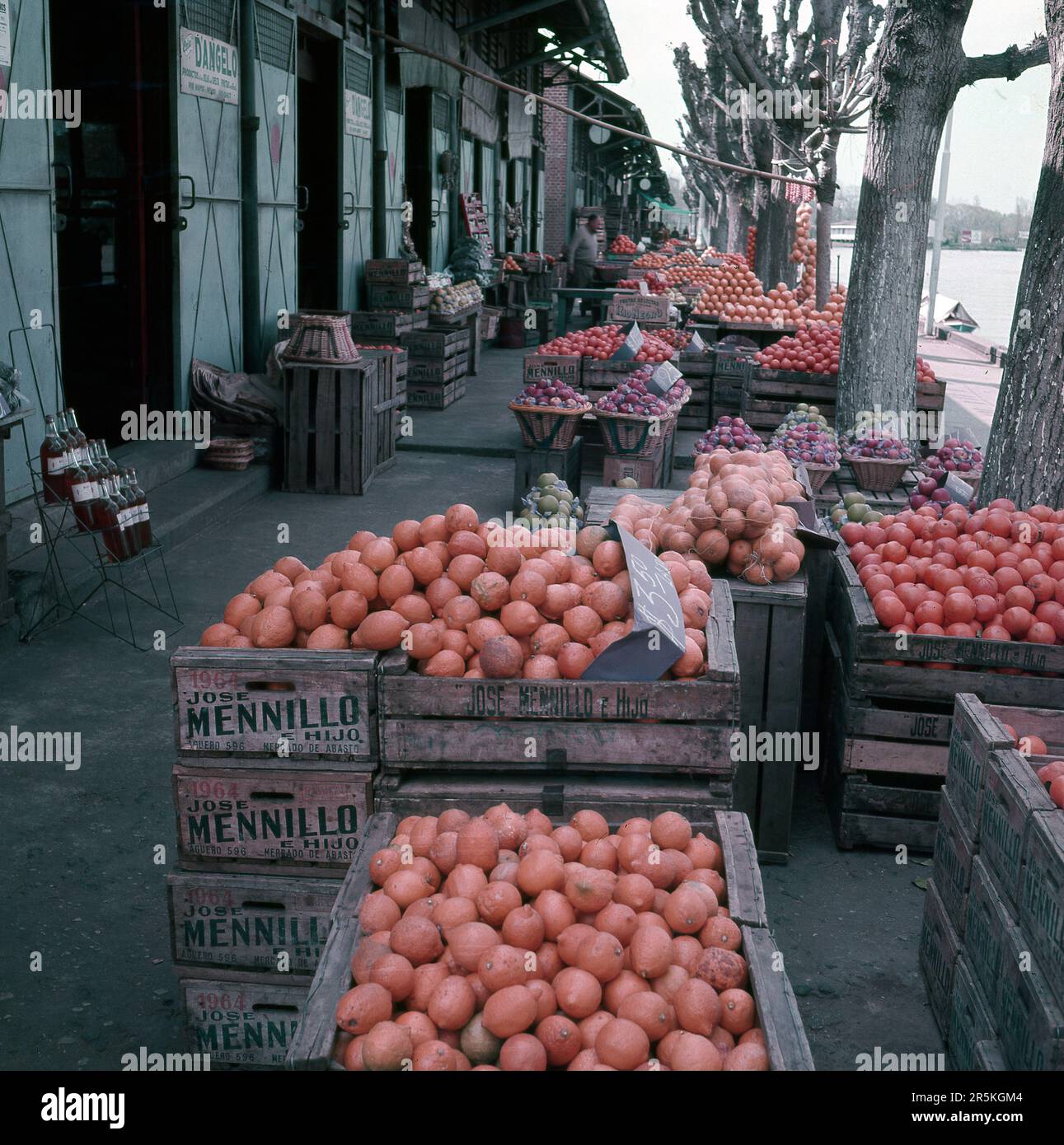 Fruit Market, Mercado de Frutos, Tigre port, Buenos Aires province ...