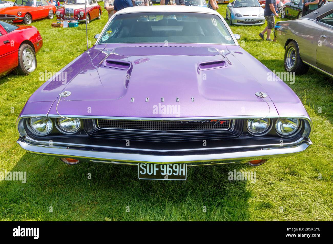 purple vintage Dodge Challenger petrol coupe 1970 70s American Dodge ...