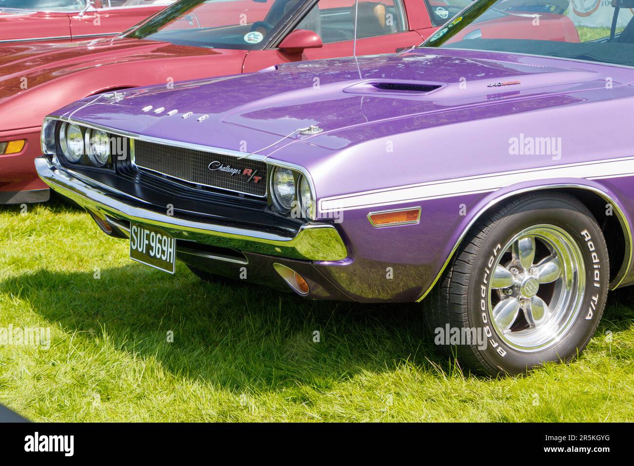 purple vintage Dodge Challenger petrol coupe 1970 70s American Dodge ...