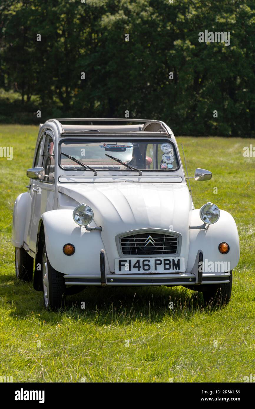front view vintage white 1974 Citroen 2CV at vintage classic car show ...