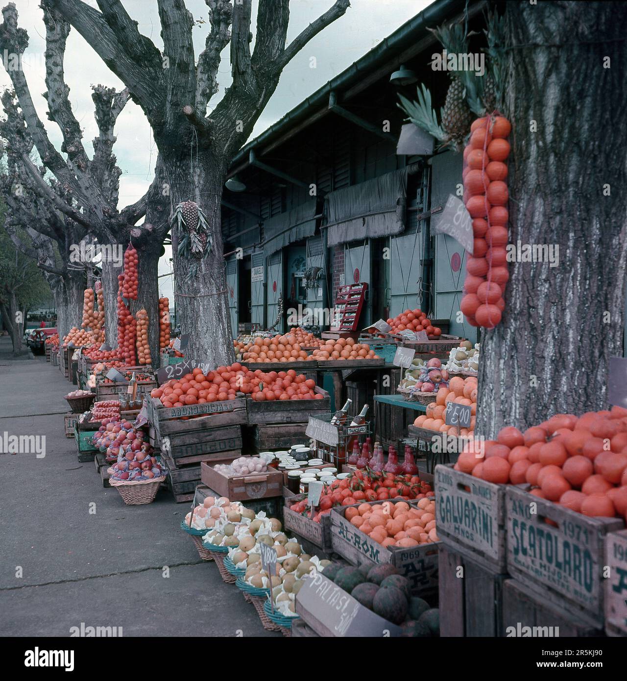 Mercado de frutos hi-res stock photography and images - Alamy