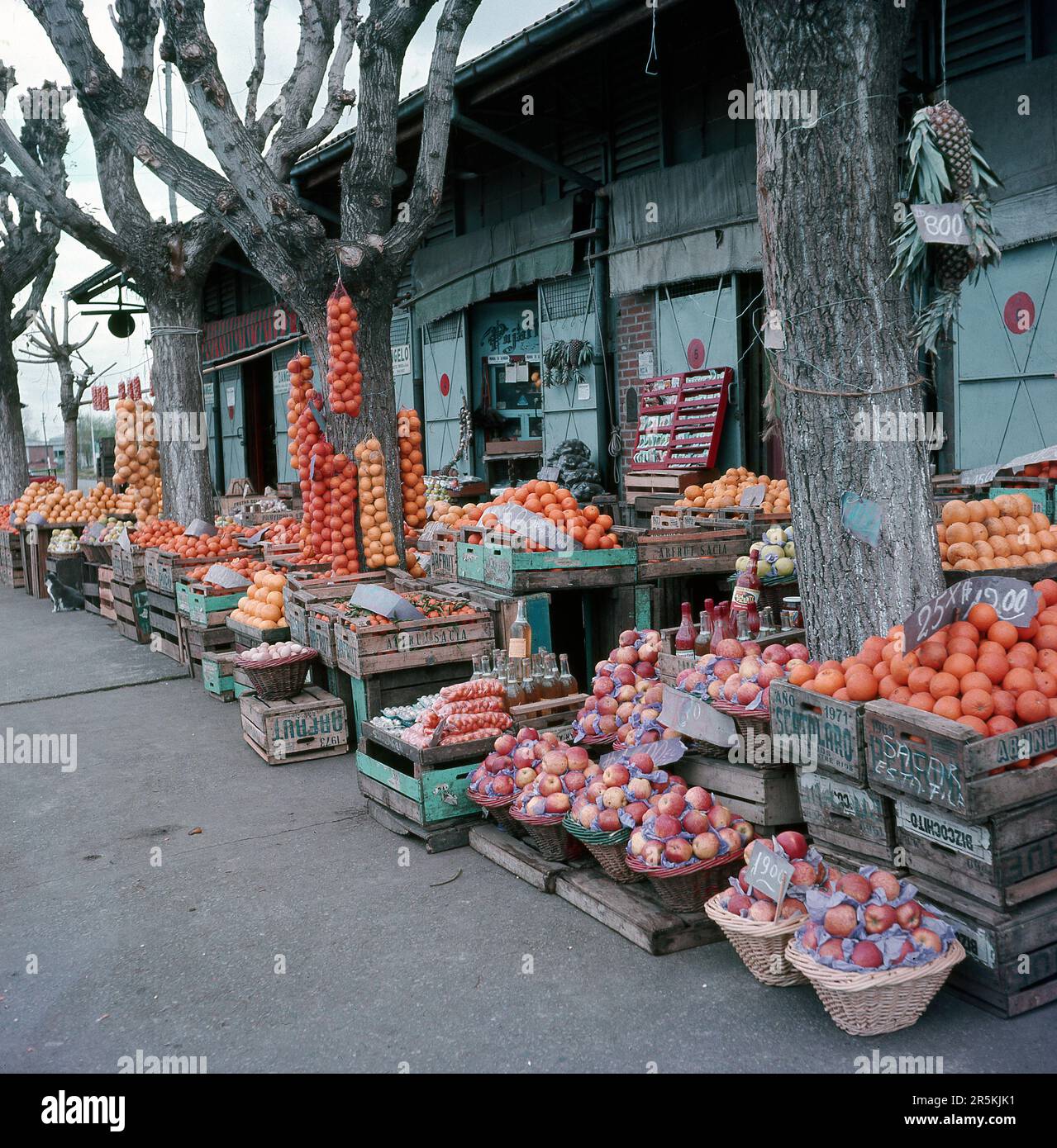 Fruit Market, Mercado de Frutos, Tigre port, Buenos Aires province ...