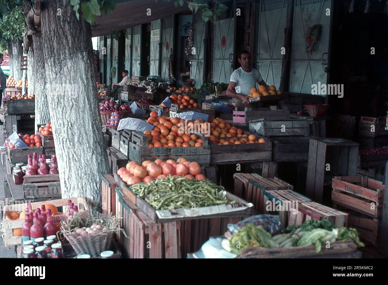 Fruit Market, Mercado de Frutos, Tigre port, Buenos Aires province ...