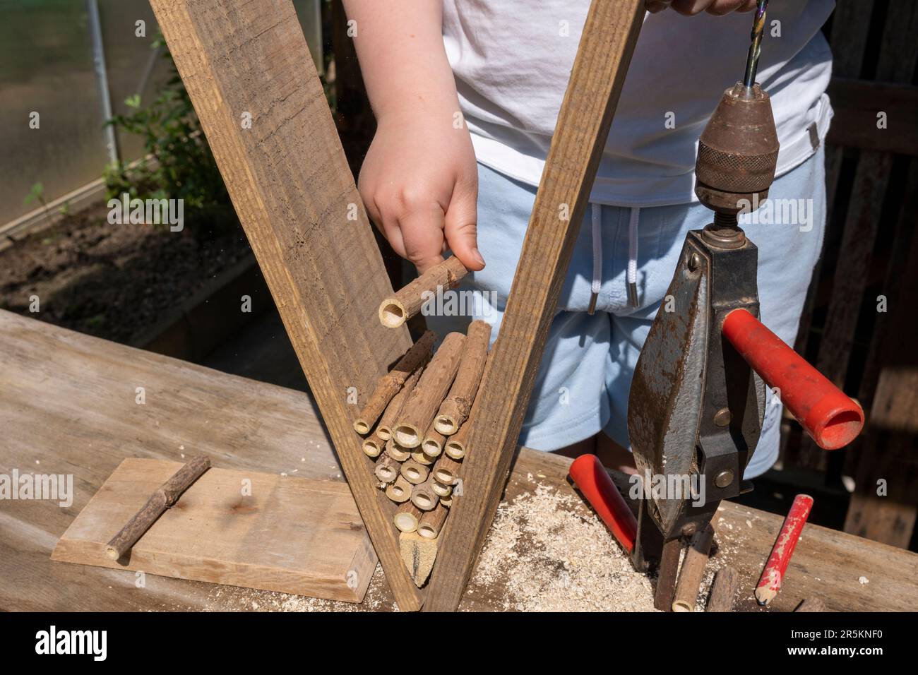 Insect hotel homemade diy nature hi-res stock photography and images ...