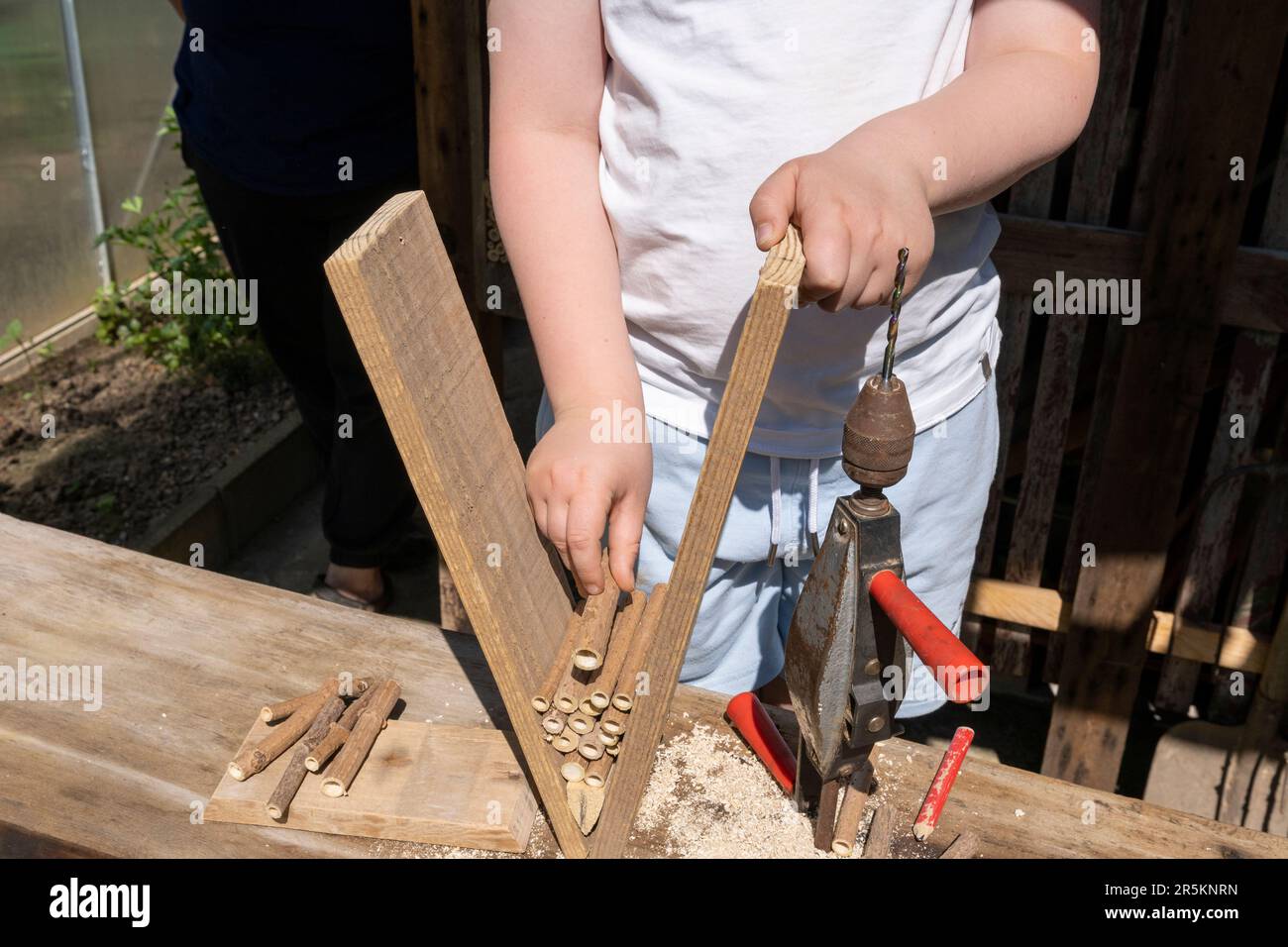Making wooden insect house decorative bug hotel Stock Photo - Alamy