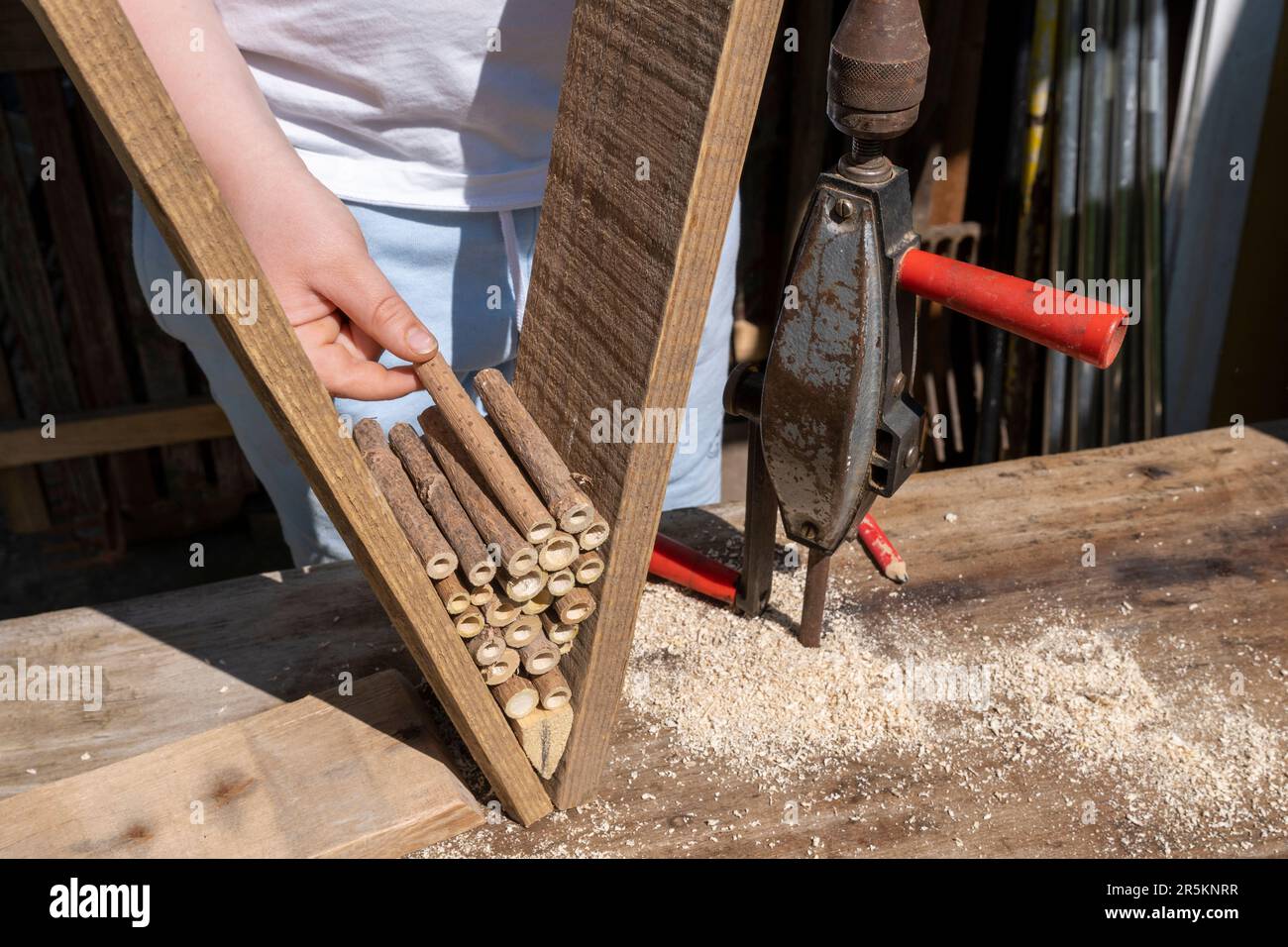 Making wooden insect house decorative bug hotel Stock Photo - Alamy