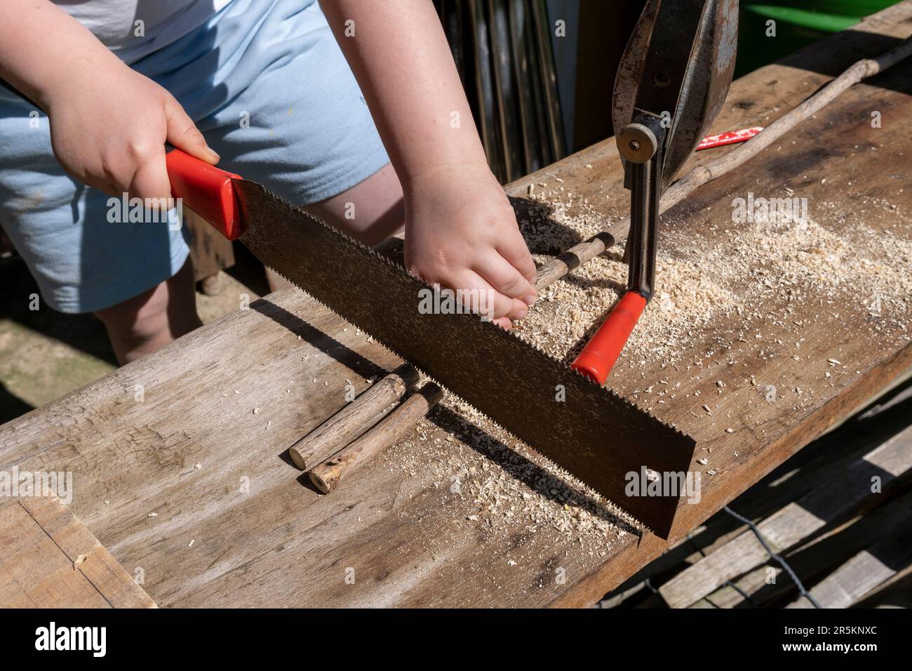 Making wooden insect house decorative bug hotel Stock Photo - Alamy