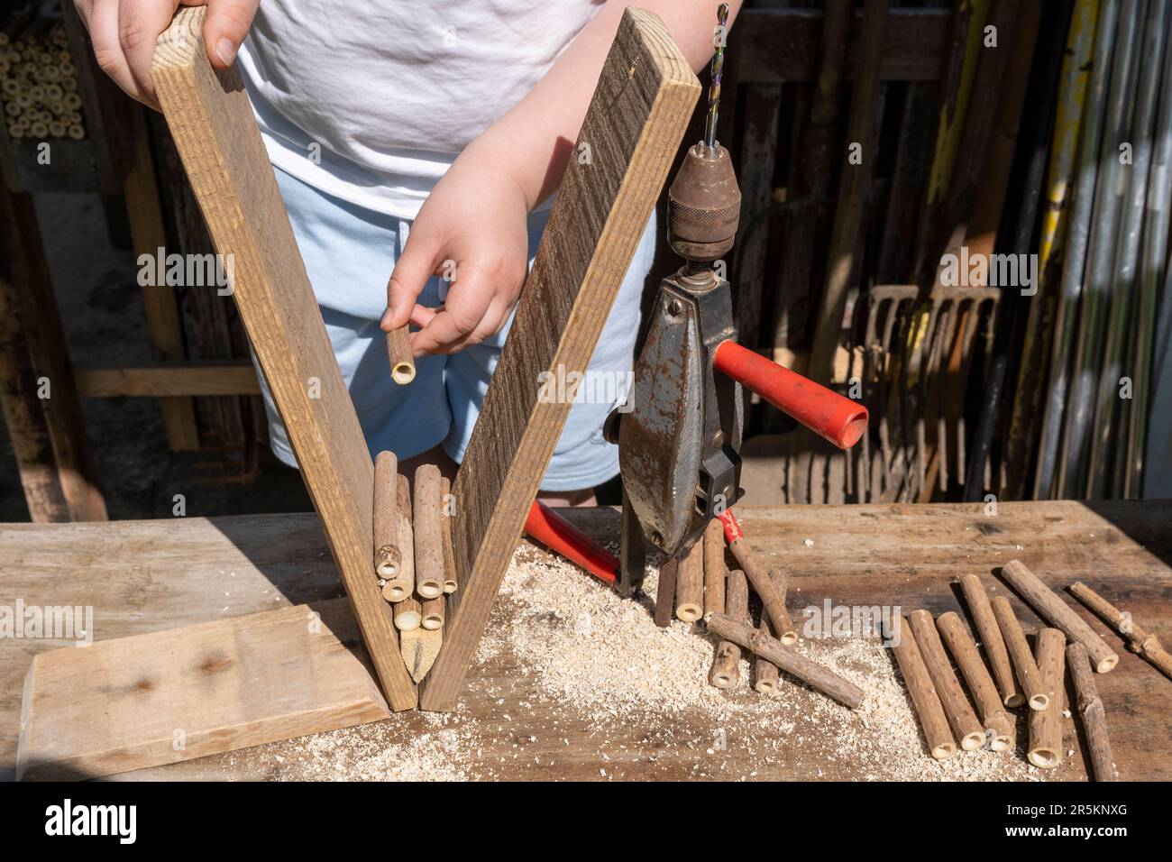 Making wooden insect house decorative bug hotel Stock Photo - Alamy
