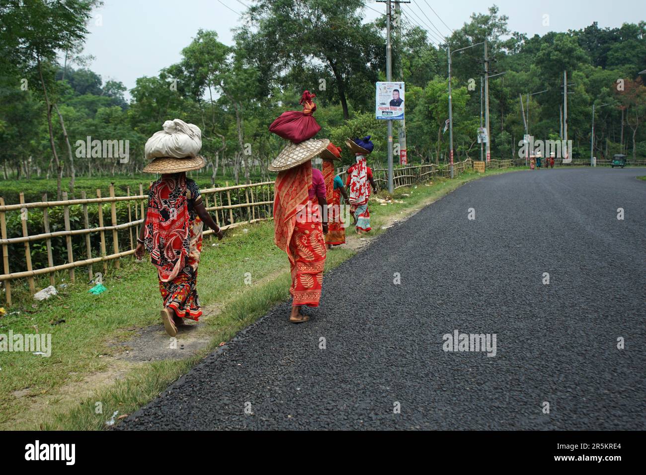 Sylhet, Sylhet, Bangladesh. 4th June, 2023. Tea Workers are going to ...