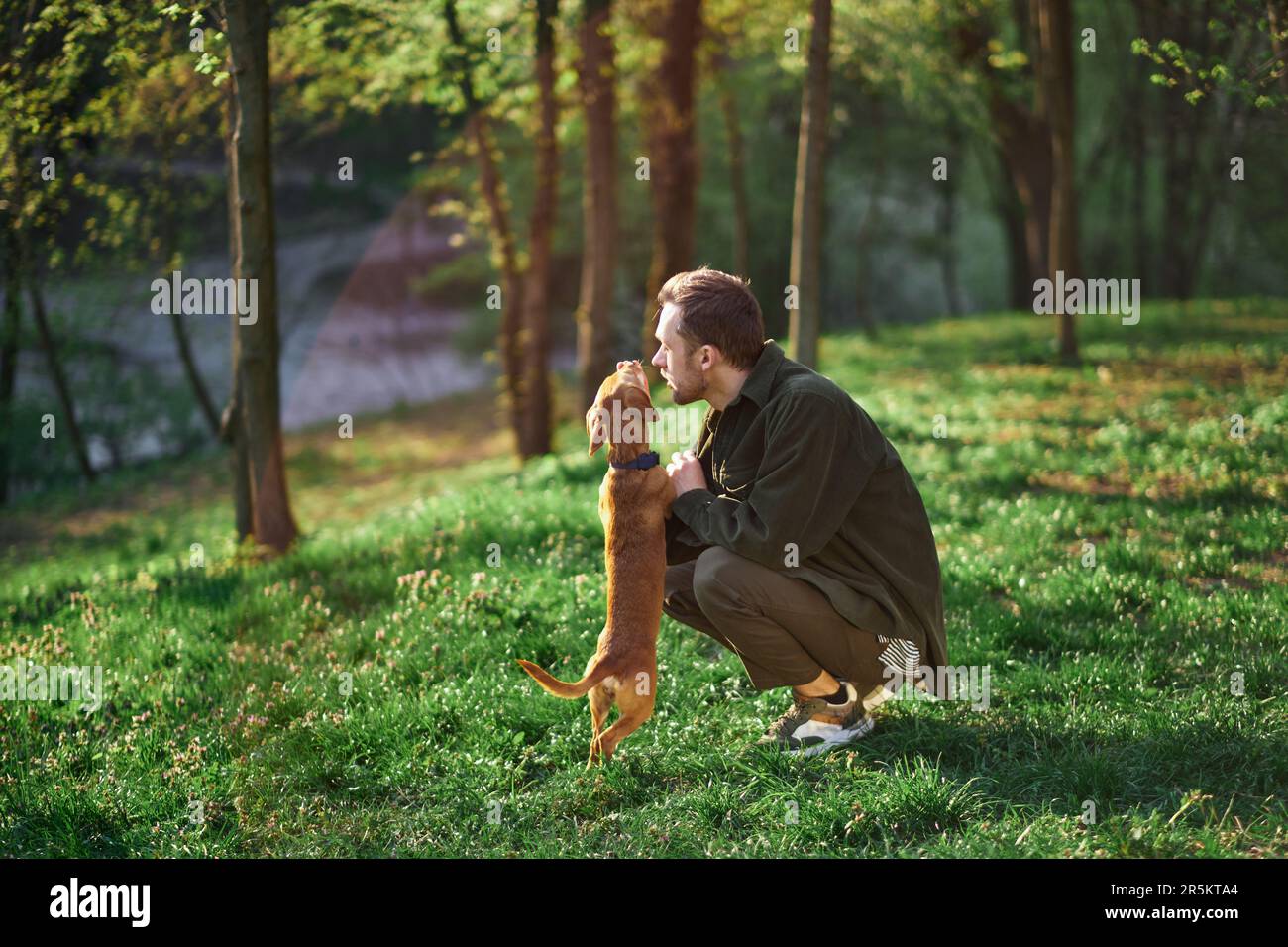 Handsome Man Plays with Cute Little Dog, Training, Teaching Tricks and ...