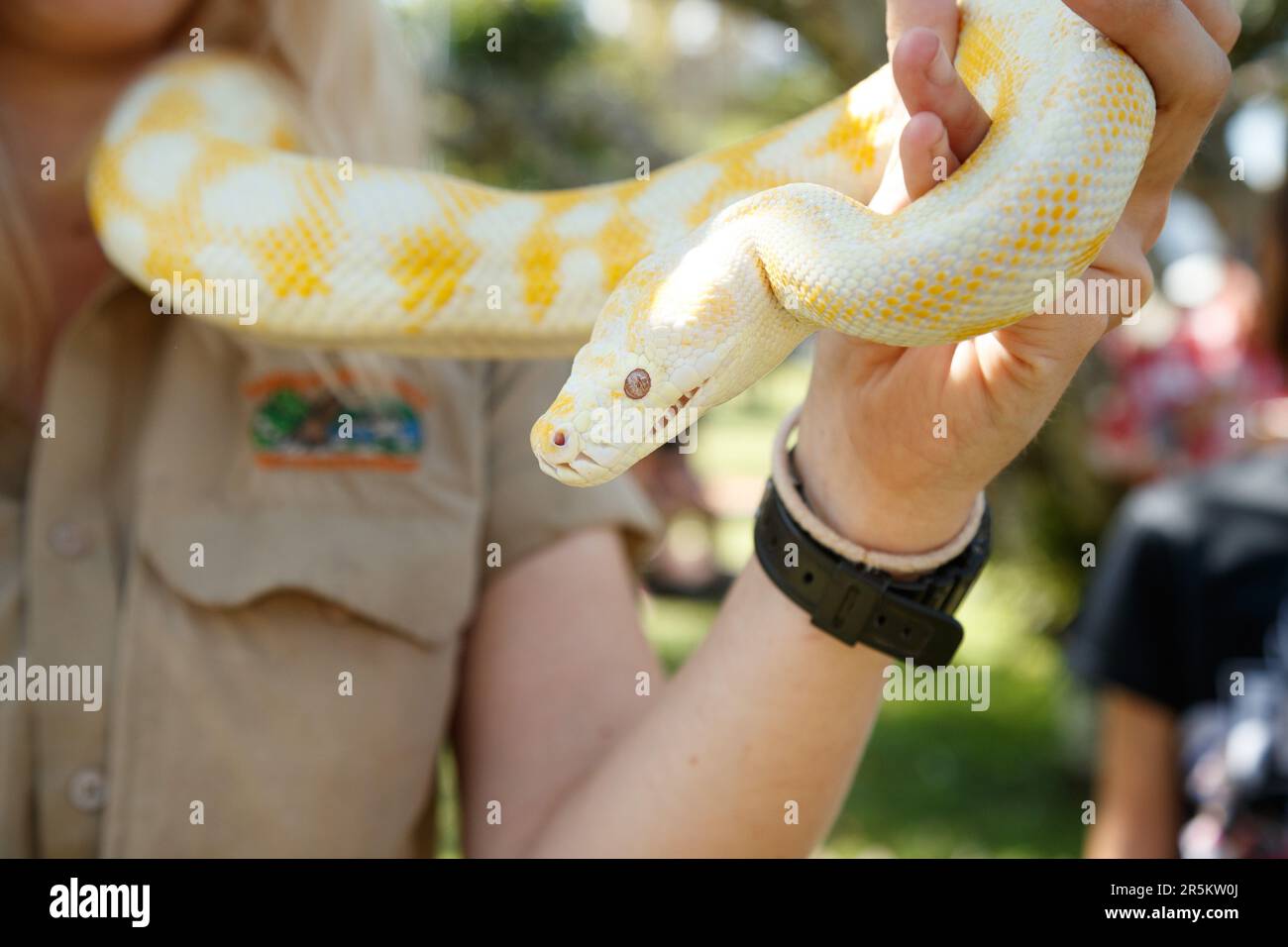 Cairns, Australia. 04th June, 2023. Cairns, Australia. 04th June, 2023 ...