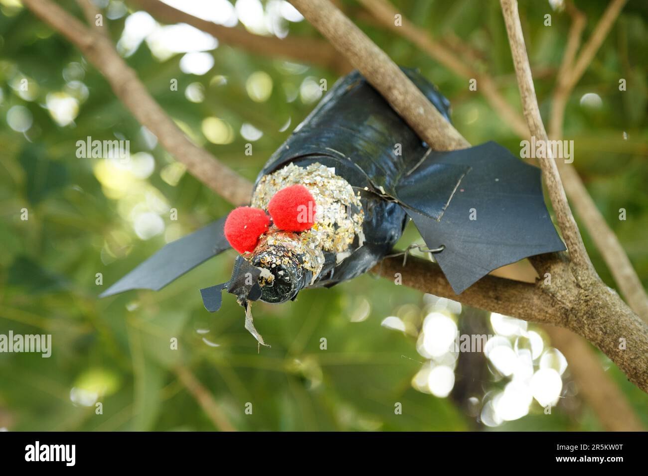 Queenslands great barrier reef hi-res stock photography and images - Alamy