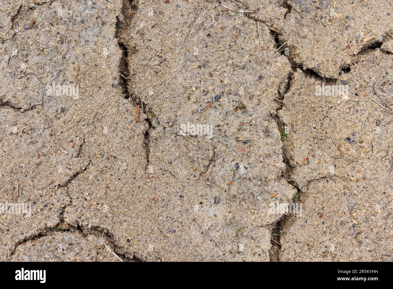 Texture of dried earth with clay and peat close-up. Copy space Stock ...