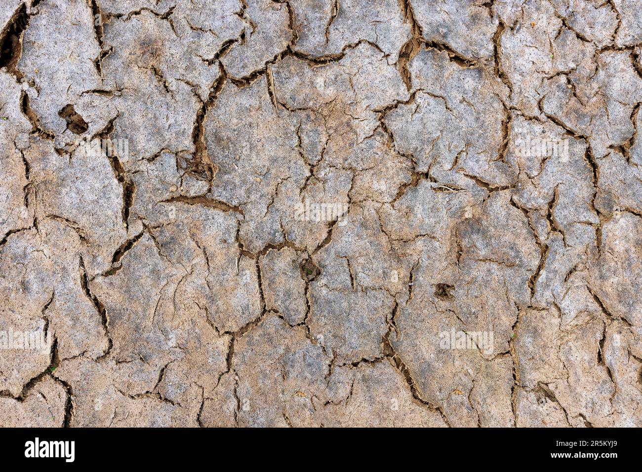The surface of a dried-up reservoir, the texture of dried soil after ...