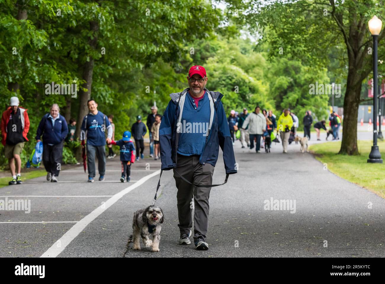 Carroll Center for the Blind Walk for Independence 2023 Stock Photo - Alamy