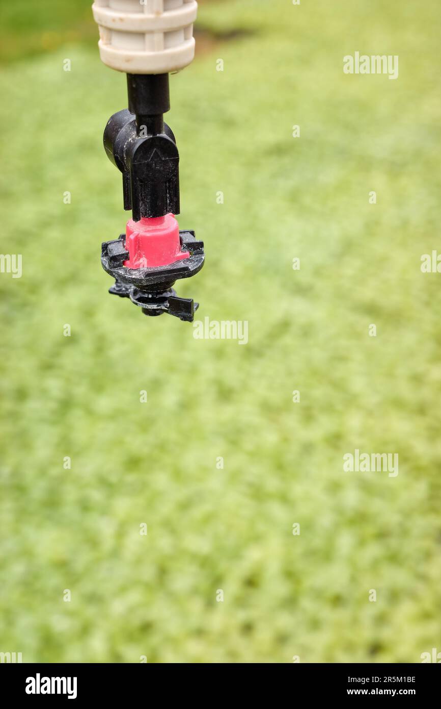 Water sprinkler system hi-res stock photography and images - Alamy