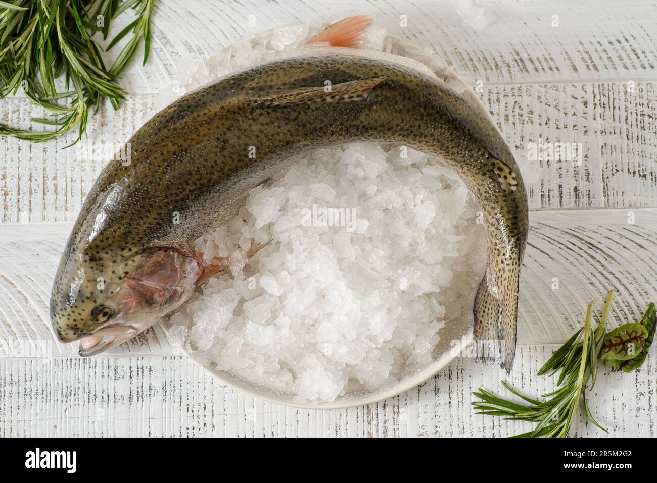 raw trout whole on a light background. High quality photo Stock Photo ...