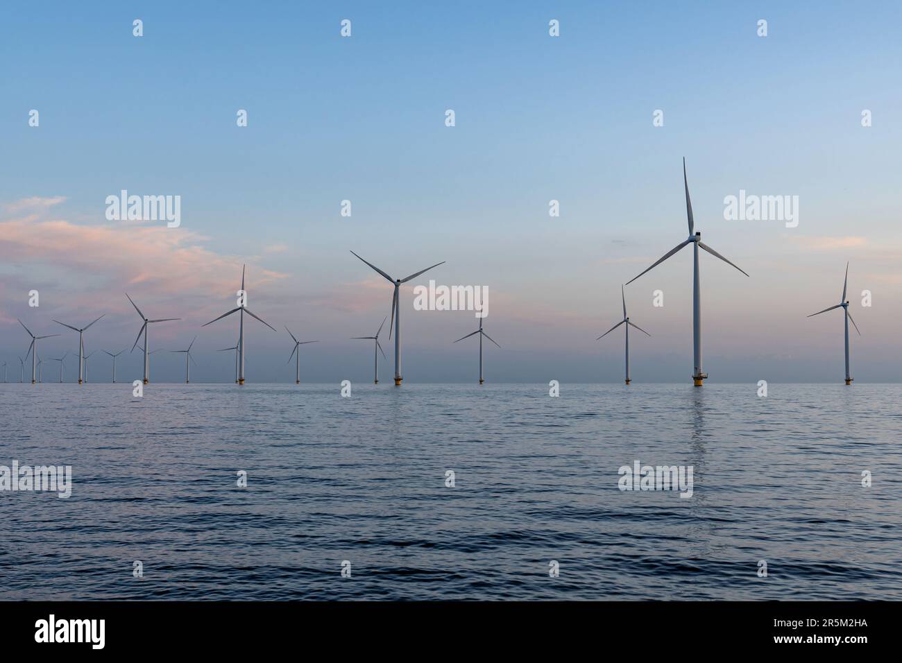 offshore wind farm at sunset Stock Photo - Alamy