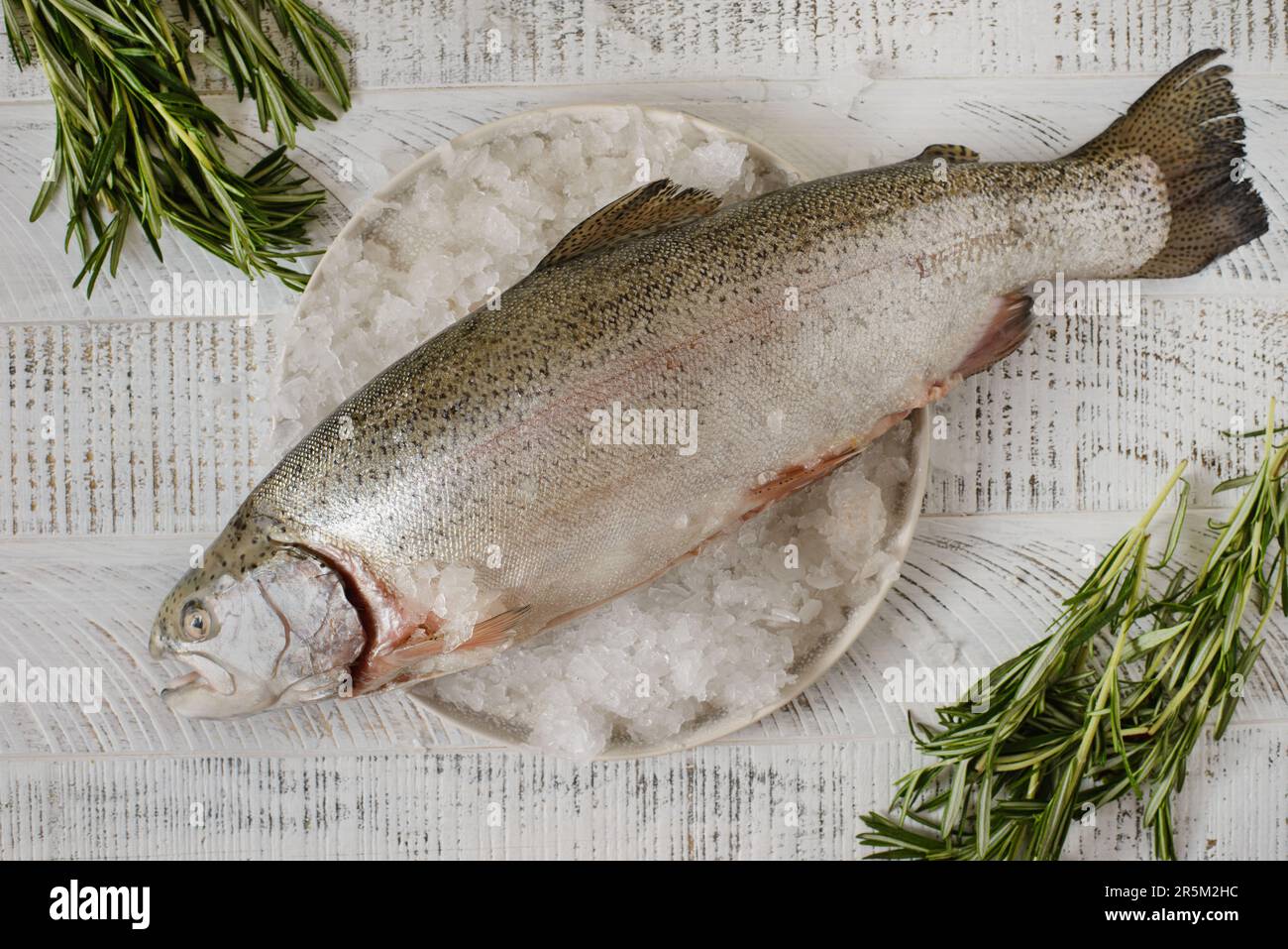 raw trout whole on a light background. High quality photo Stock Photo ...