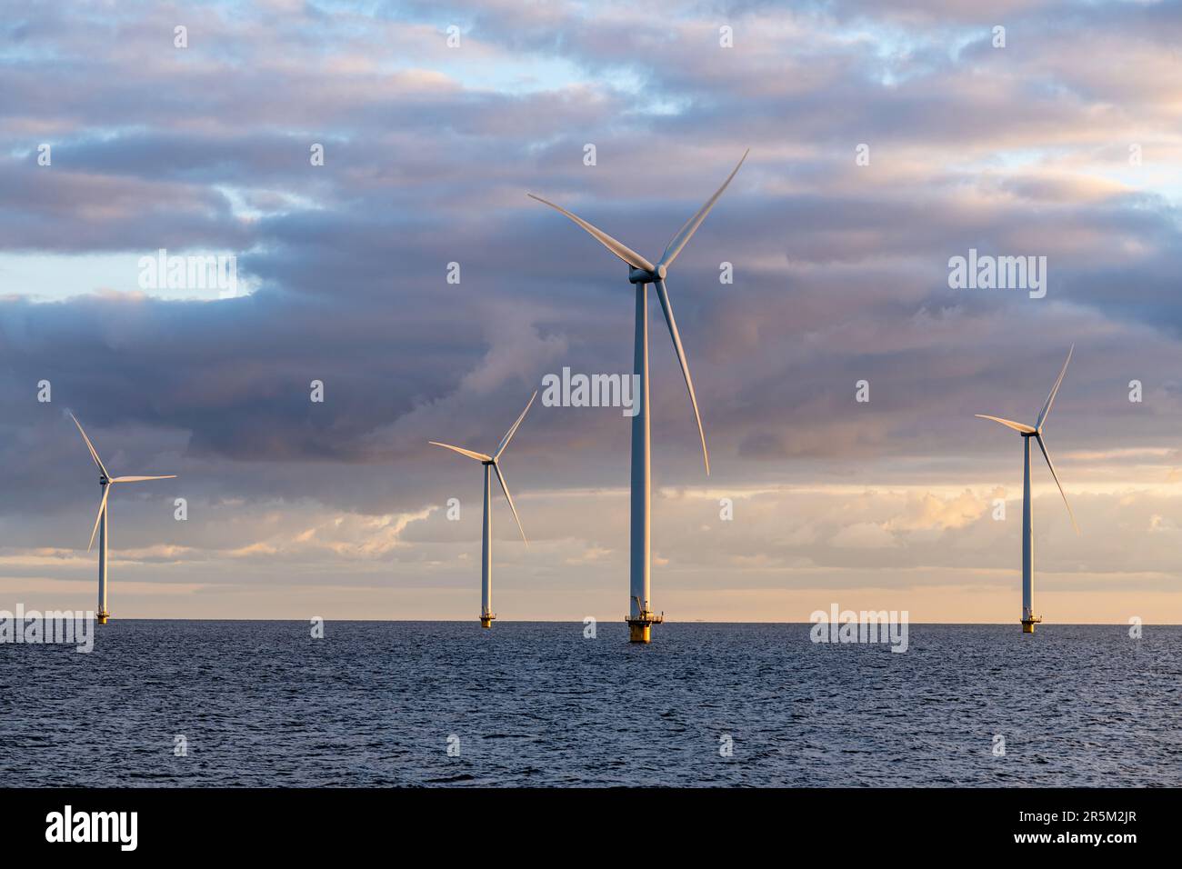 offshore wind farm at sunset Stock Photo - Alamy