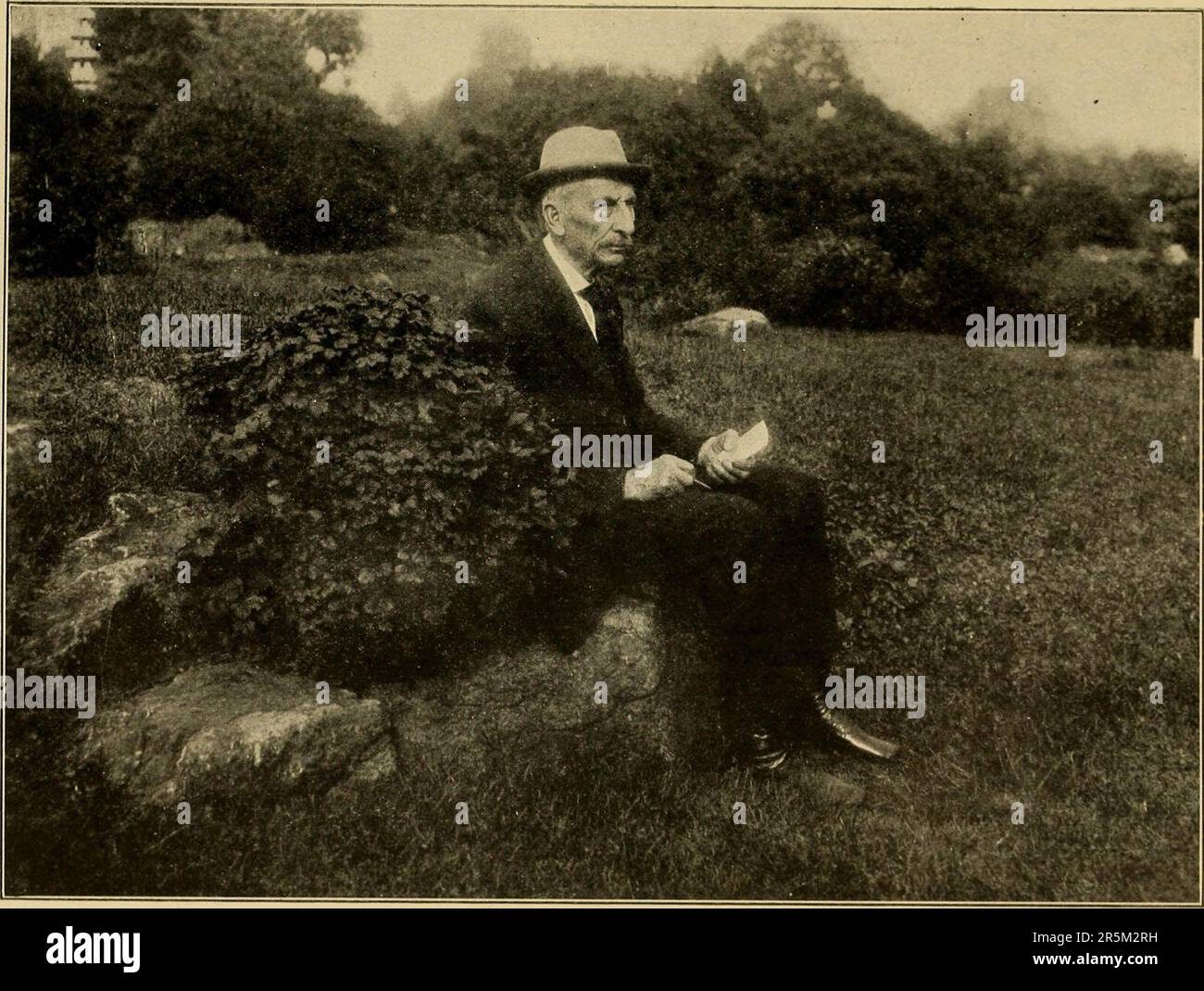 Nurseryman hi-res stock photography and images - Alamy