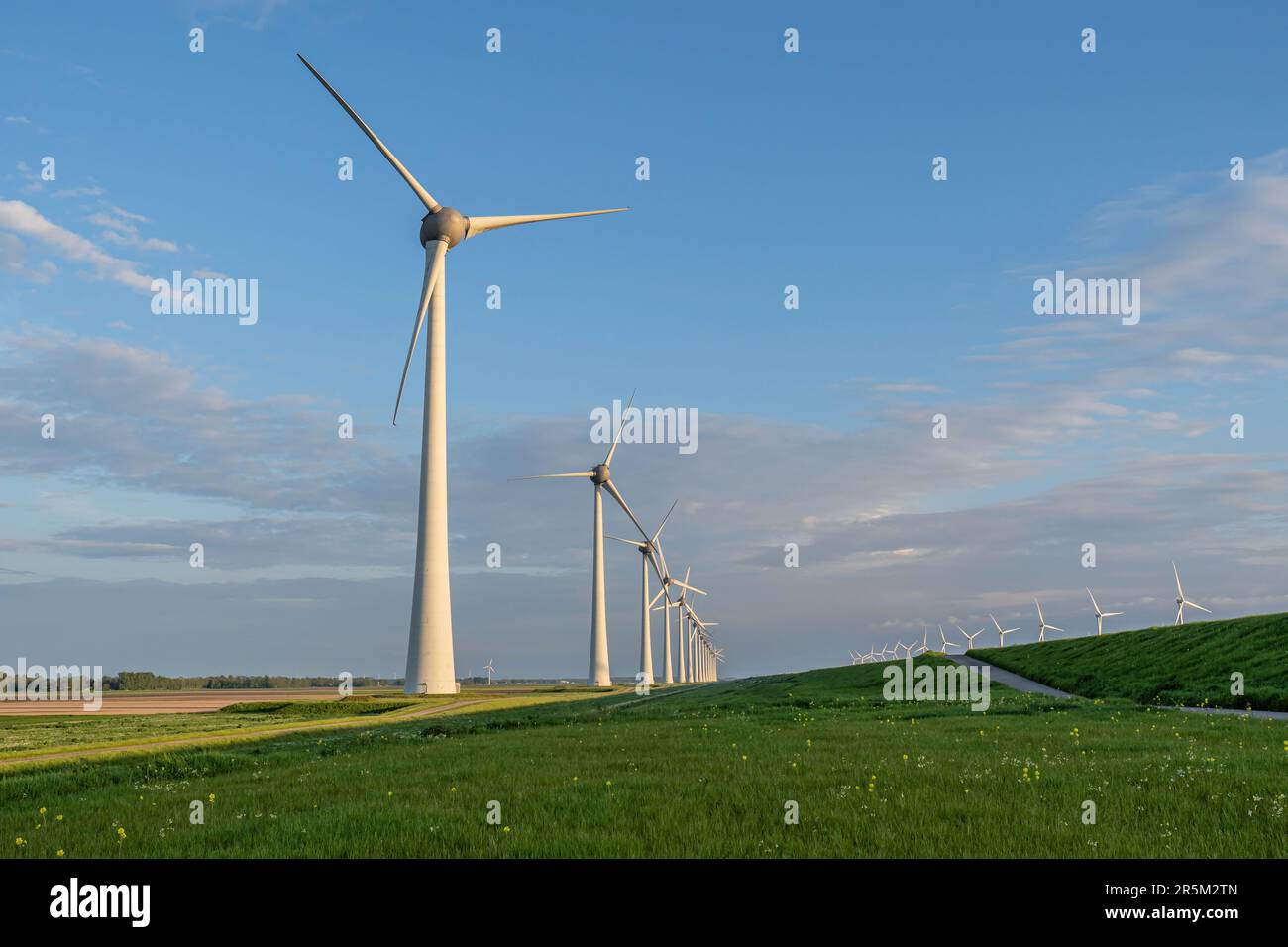 Onshore Wind Farm Stock Photo Alamy onshore-wind-farm-stock-photo-alamy