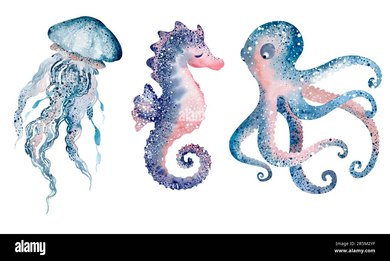Watercolor illustrations of underwater marine animals octopus, seahorse ...