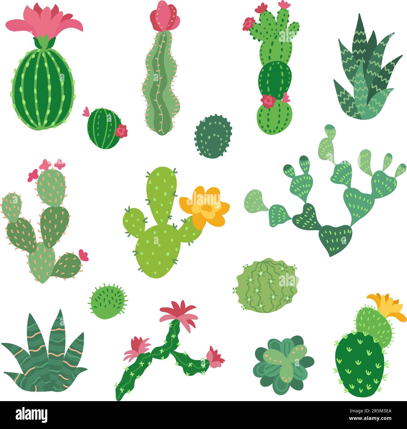 Decorative cactus collection. Cacti flowers symbols, mexico desert ...