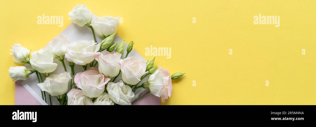 Festive composition, happy March 8, Mother's Day, St. Peter's Day ...