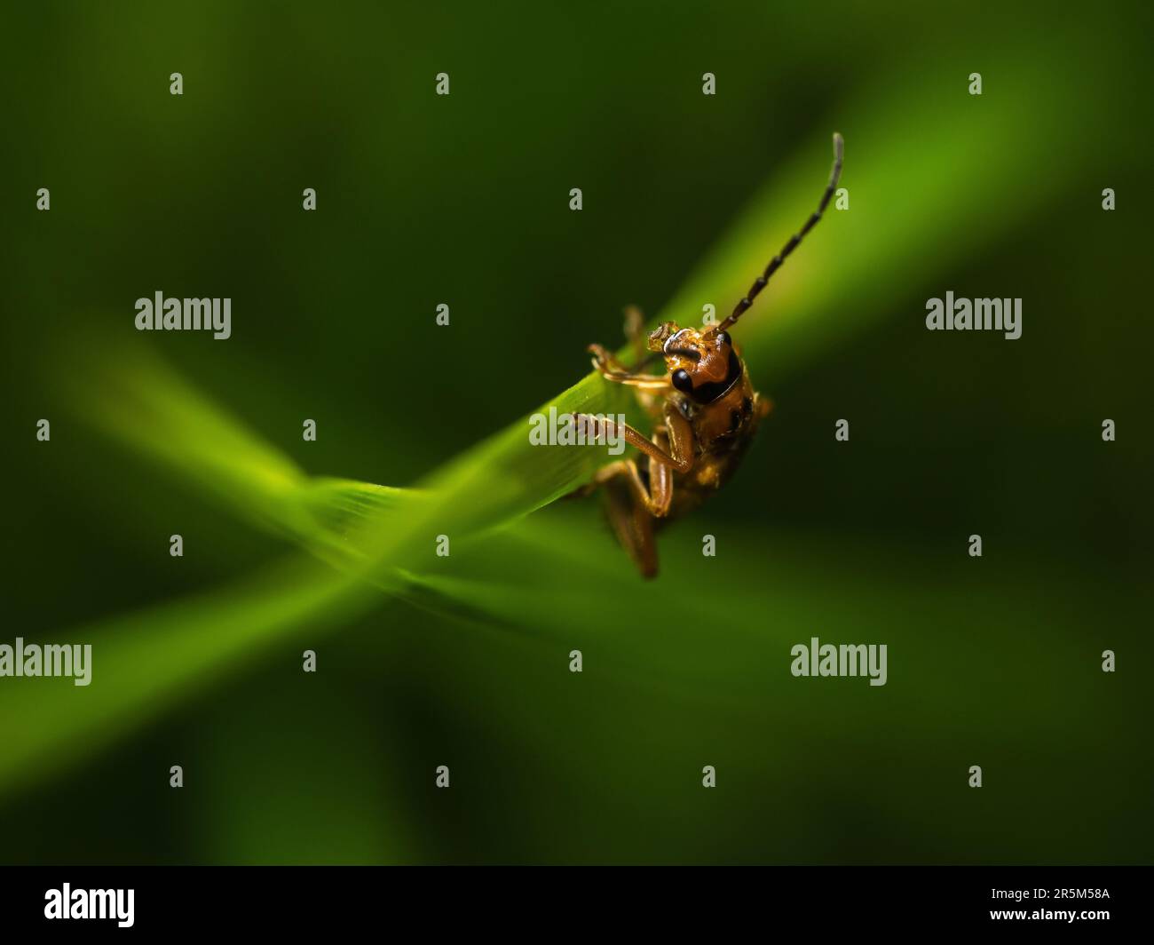 Artful encounter hi-res stock photography and images - Alamy