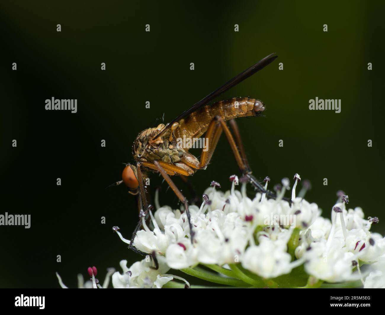 Natures serene colour scheme hi-res stock photography and images - Alamy