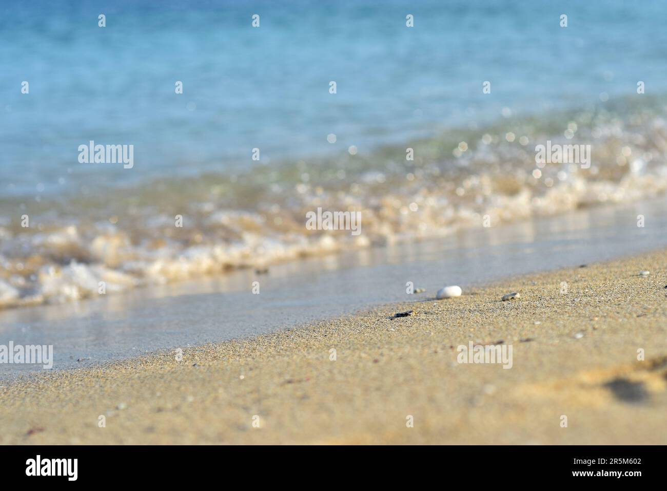 Sand and pebbles and tiny wave, shallow depth of field Stock Photo - Alamy
