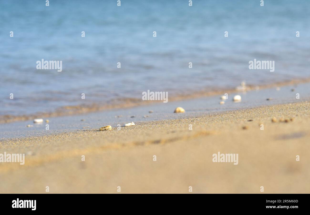 Tiny beach pebbles hi-res stock photography and images - Alamy