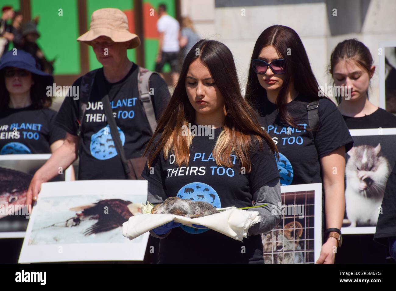 London, UK. 04th June, 2023. An activist holds a dead squirrel during ...