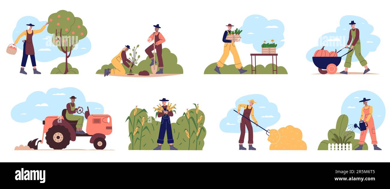 Farmers work. People in work clothes pick apples. Plants cultivation ...