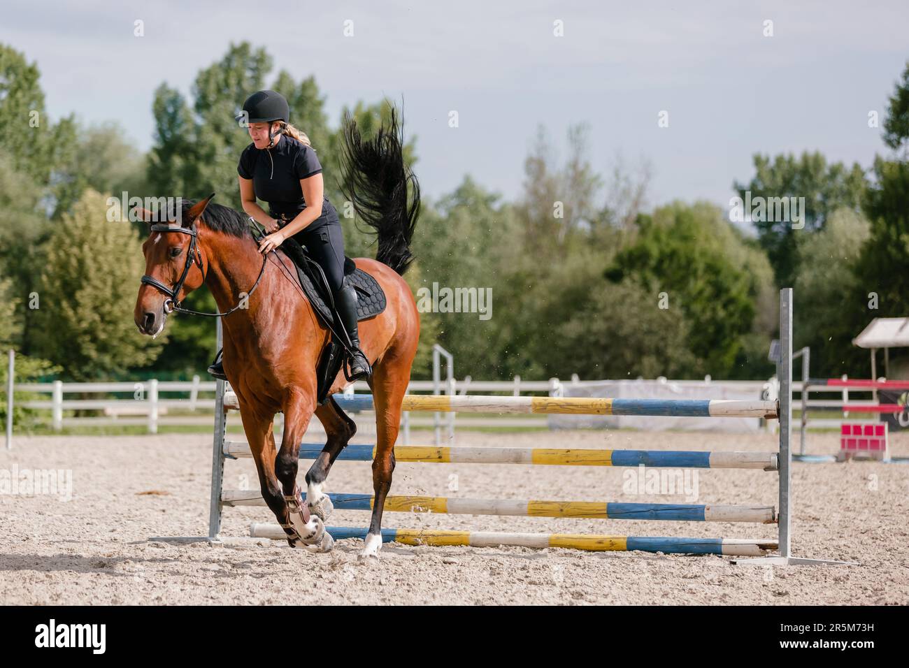 Female rider on chestnut horse jumping over a hurdle at the equestrian ...