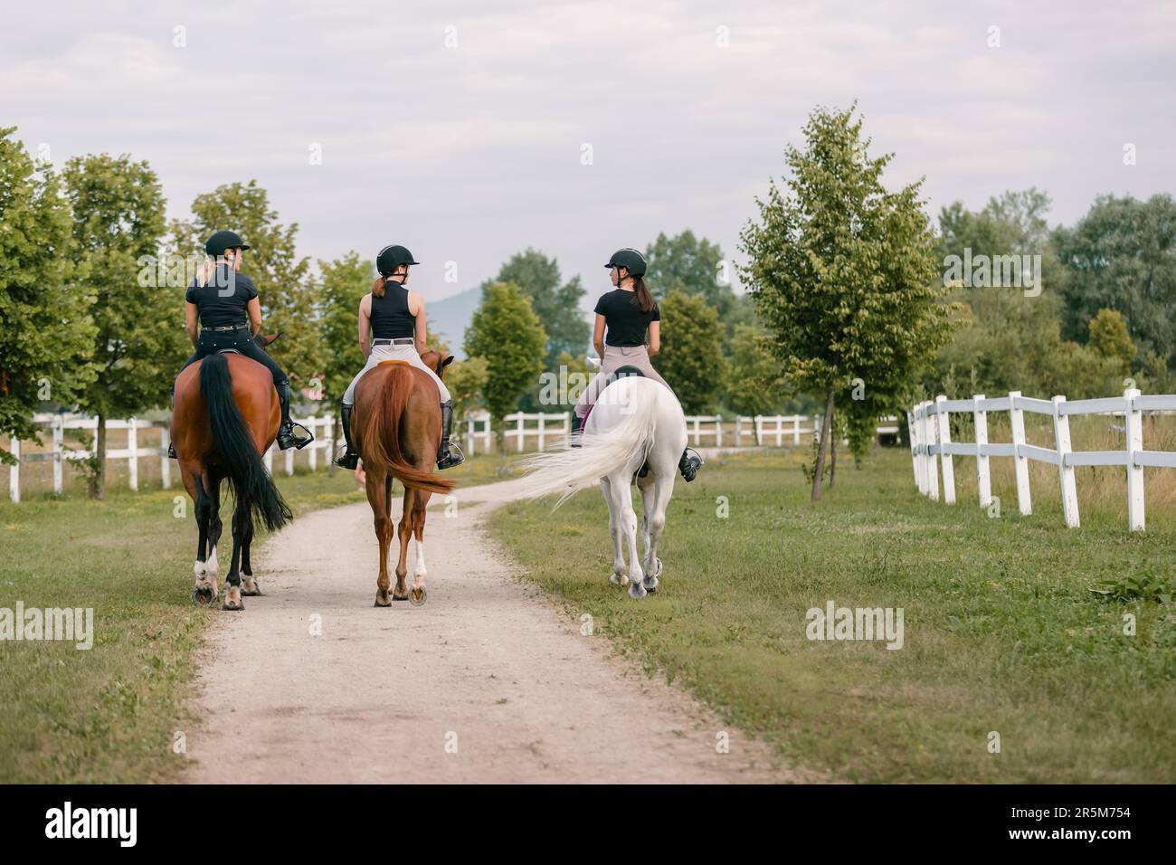Horsewomen riding beautiful horses along the trail at the equestrian ...