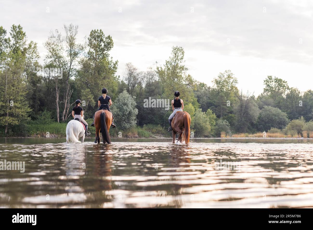 Three rider girls crossing the calm river water riding their beautiful ...