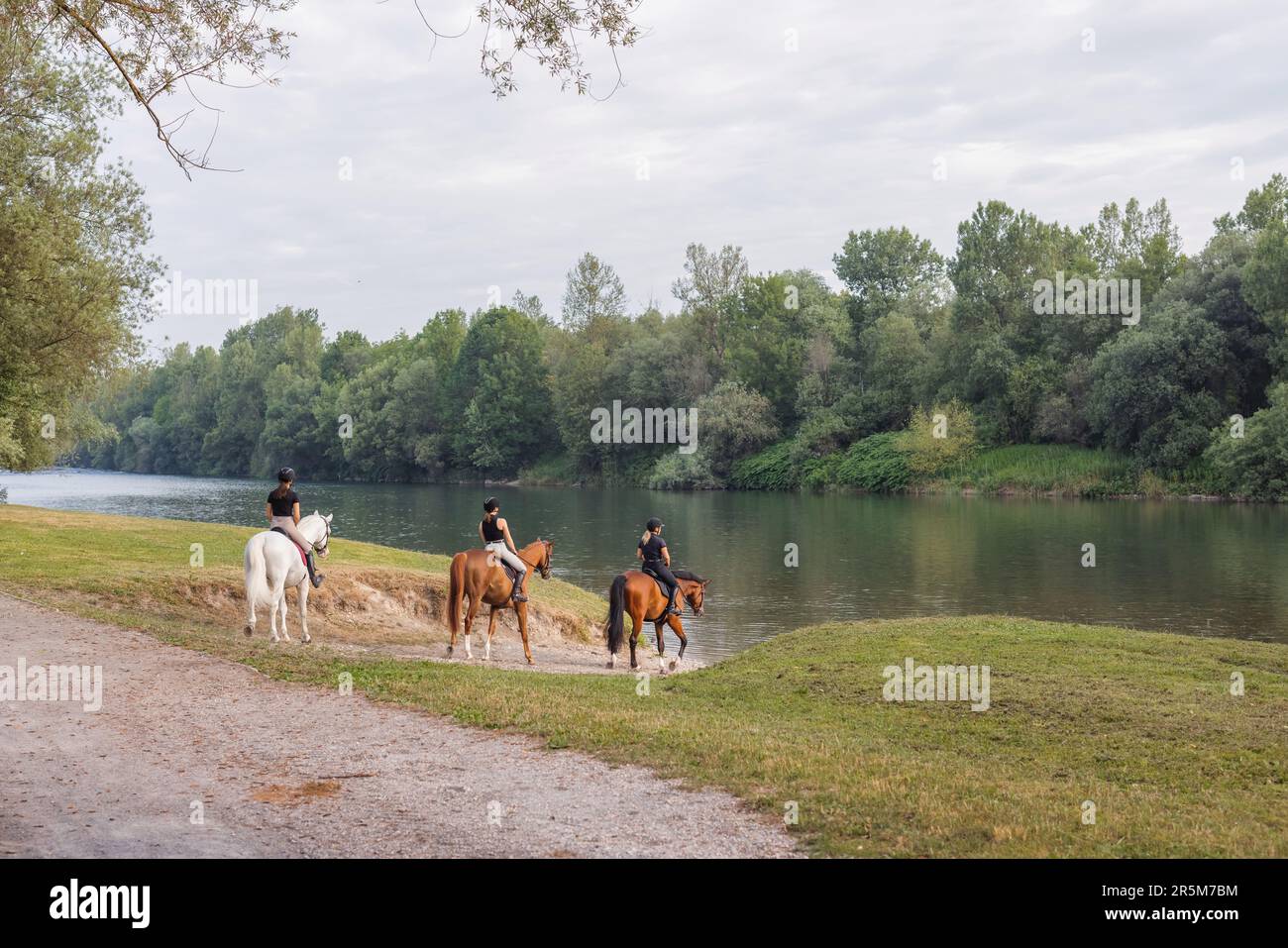 Three female riders enjoying riding horses in the beautiful nature ...