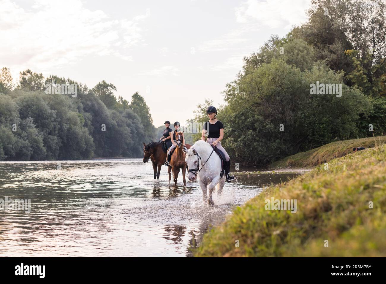 Three girls relaxing in a natural setting, horseback riding across the ...