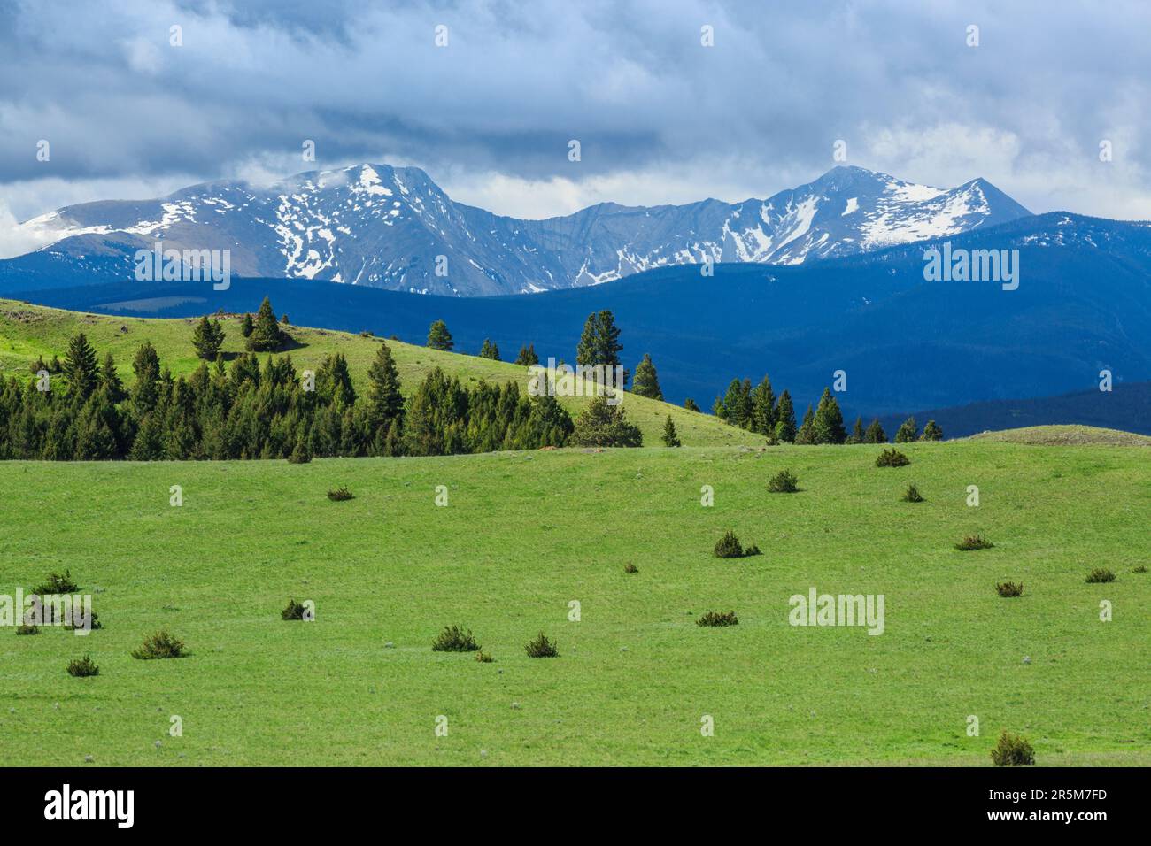 flint creek range and foothill meadows near garrison, montana Stock ...