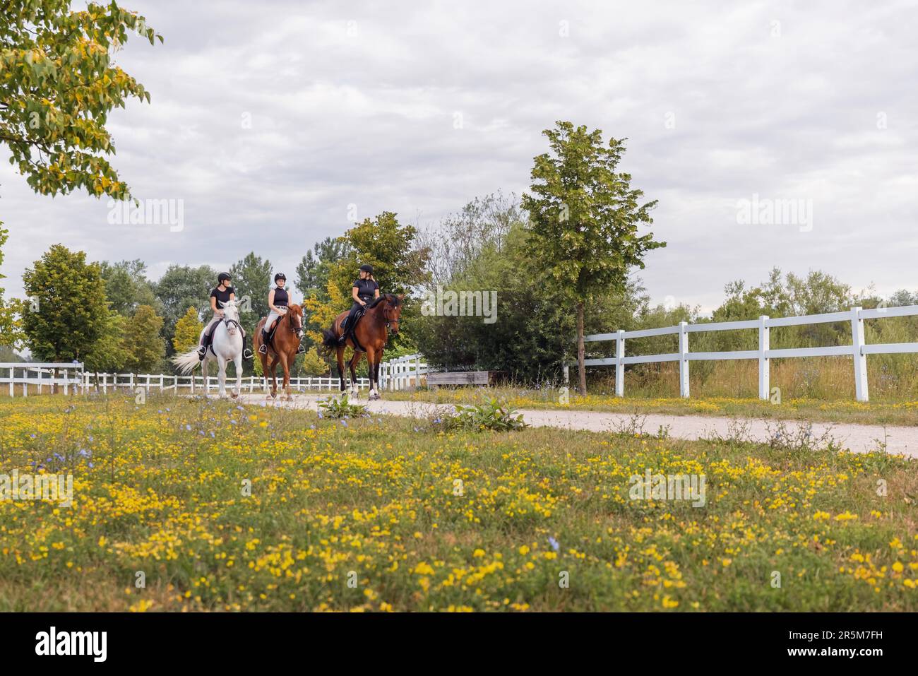 Three horsewomen enjoy riding beautiful horses, side by side along the ...